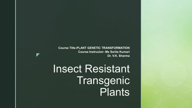 Insect Resistant Transgenic Plants | PPTX