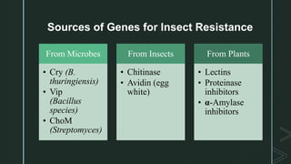 Insect Resistant Transgenic Plants | PPTX