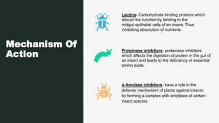 Insect Resistant Transgenic Plants | PPTX