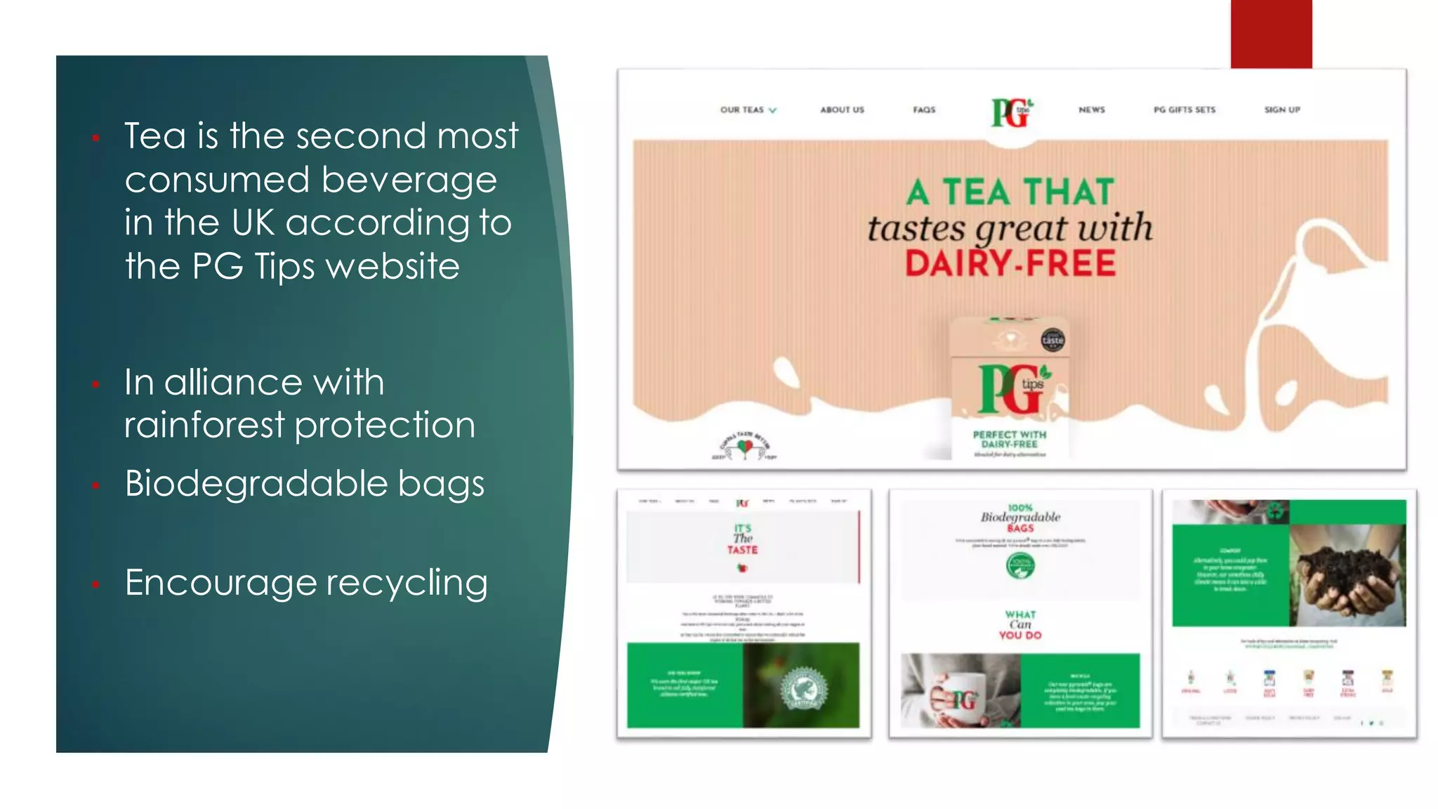 PG Tips Re-branding Pitch | PDF