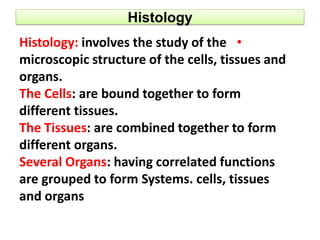 Histology_final_to_Connective,Bone,Cartilage-Tissues_ and_Blood.pdf
