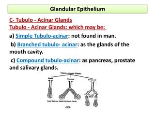 Histology_final_to_Connective,Bone,Cartilage-Tissues_ and_Blood.pdf