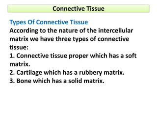 Histology_final_to_Connective,Bone,Cartilage-Tissues_ and_Blood.pdf