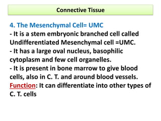 Histology_final_to_Connective,Bone,Cartilage-Tissues_ and_Blood.pdf