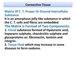Histology_final_to_Connective,Bone,Cartilage-Tissues_ and_Blood.pdf