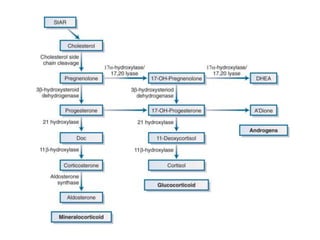 Addison disease | PPTX