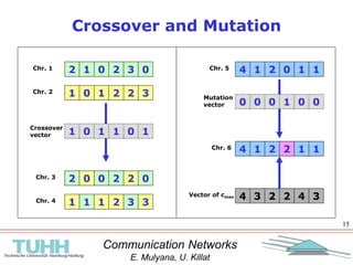 Optimization of IP Networks in Various Hybrid IGP/MPLS Routing Schemes | PPT