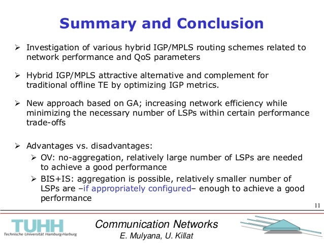 Optimization of IP Networks in Various Hybrid IGP/MPLS Routing Schemes