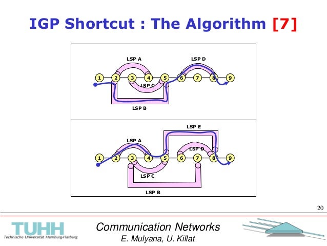 Optimization of IP Networks in Various Hybrid IGP/MPLS Routing Schemes