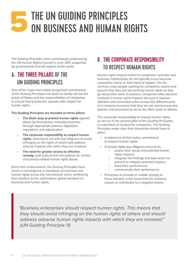 PG UN Guiding Principles Reporting Framework Feb 2015 | PDF