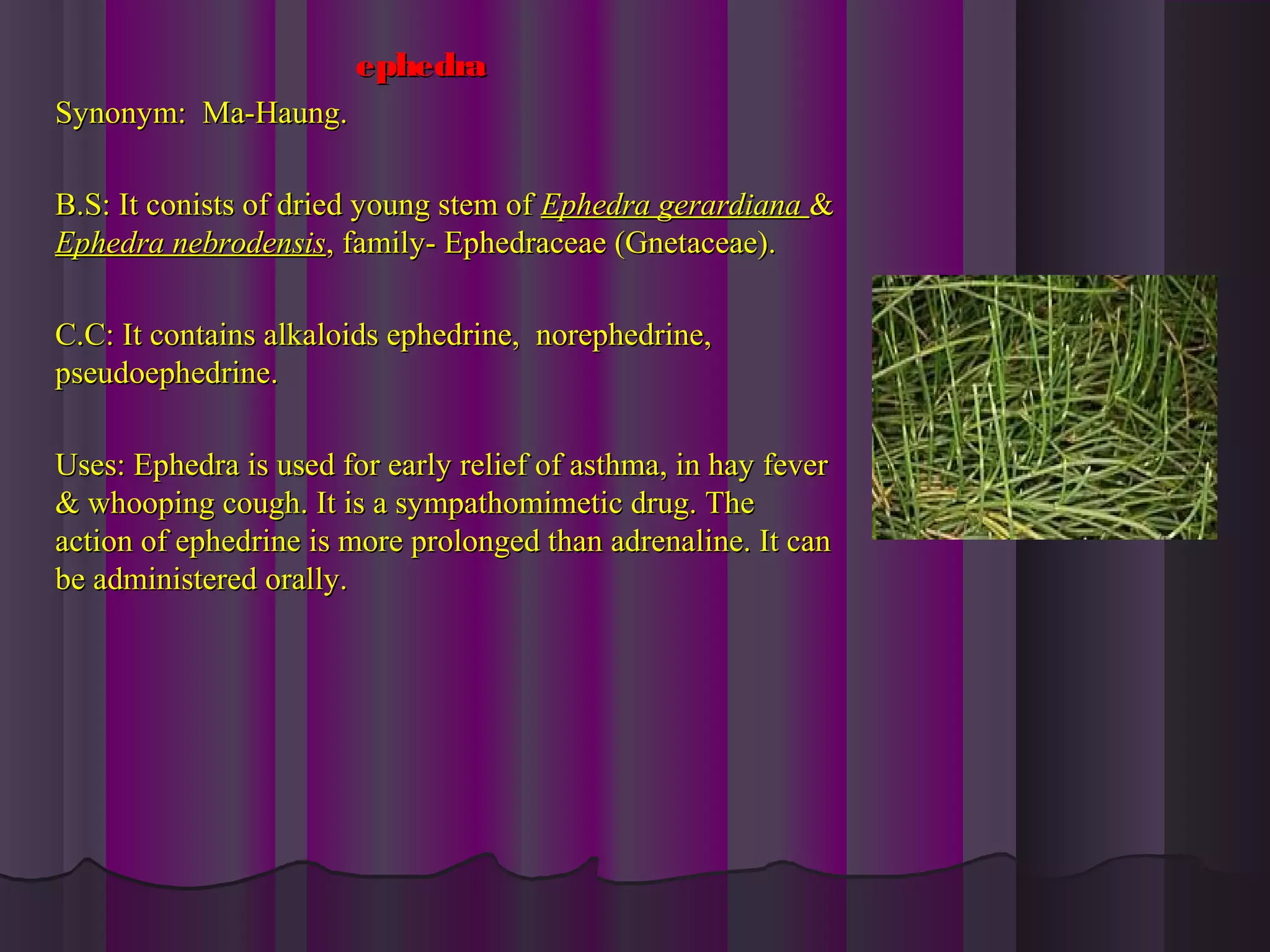 Drugs Acting on Nervous System | PPT