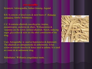 Drugs Acting on Nervous System | PPT