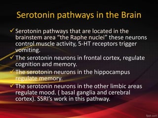 serotonin/neurotransmitter | PPTX