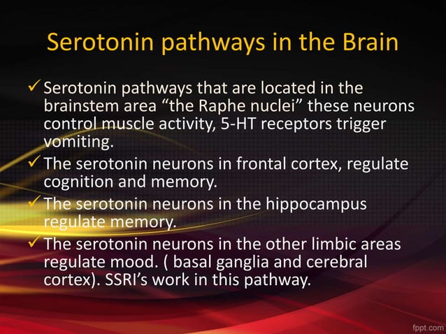 serotonin/neurotransmitter | PPTX