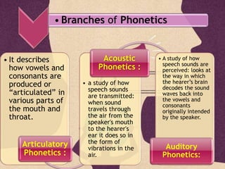 Phonitics | PPT