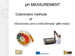 PH measurement with a homemade indicator | PPTX | Chemistry | Science