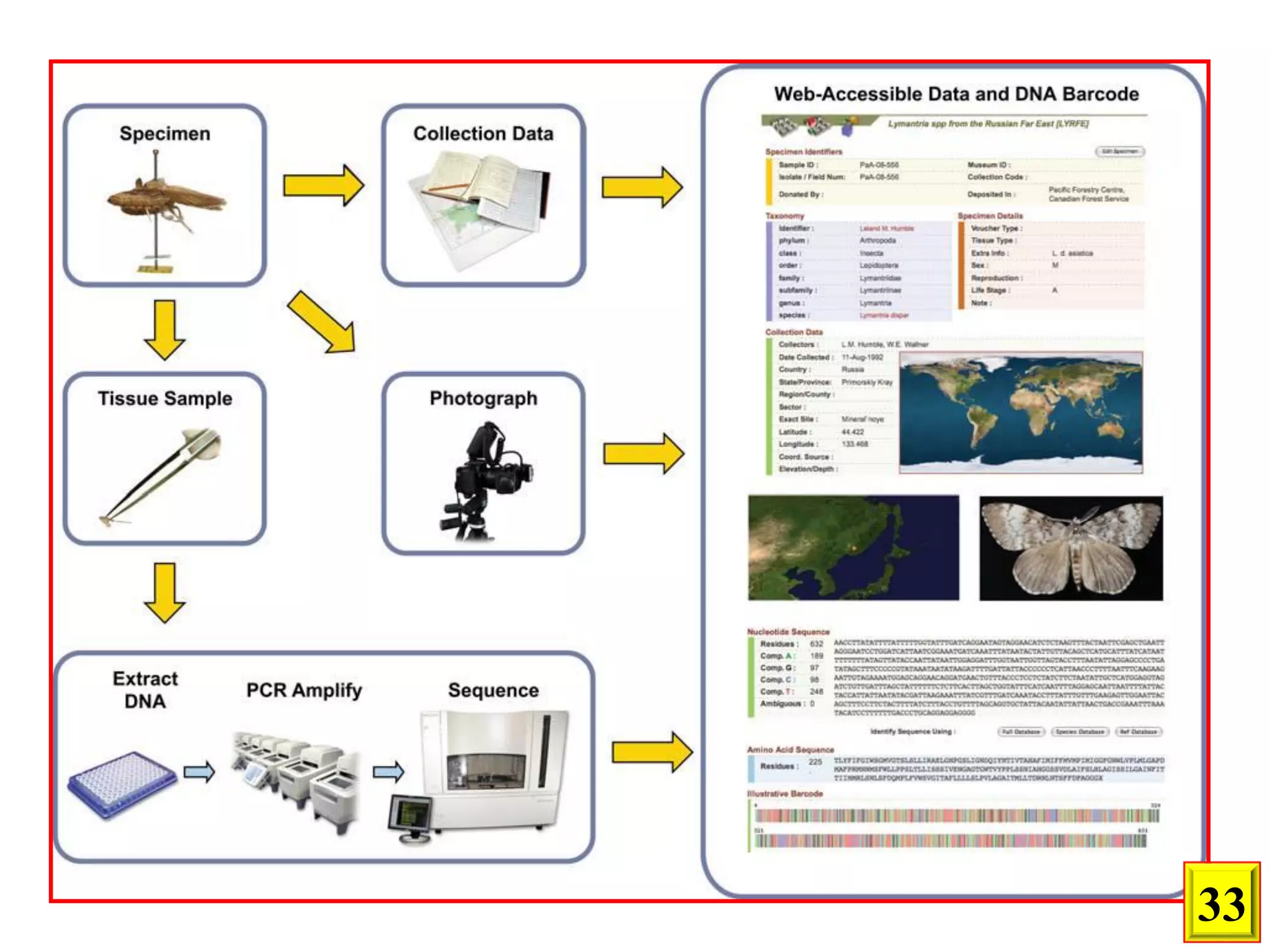 PRESENT STATUS AND ROLE OF BIOTECHNOLOGICAL APPROACHES IN INSECT PEST ...