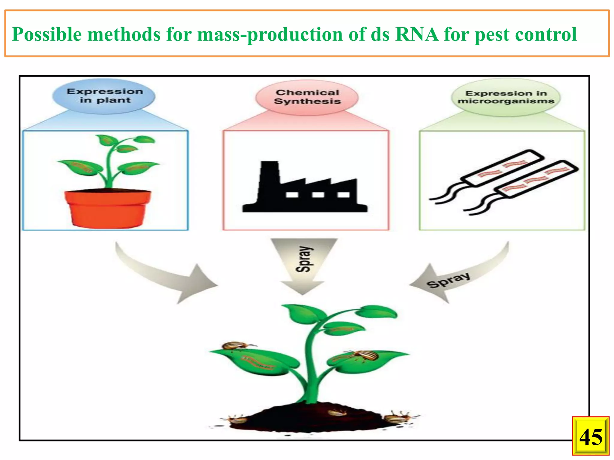 PRESENT STATUS AND ROLE OF BIOTECHNOLOGICAL APPROACHES IN INSECT PEST ...