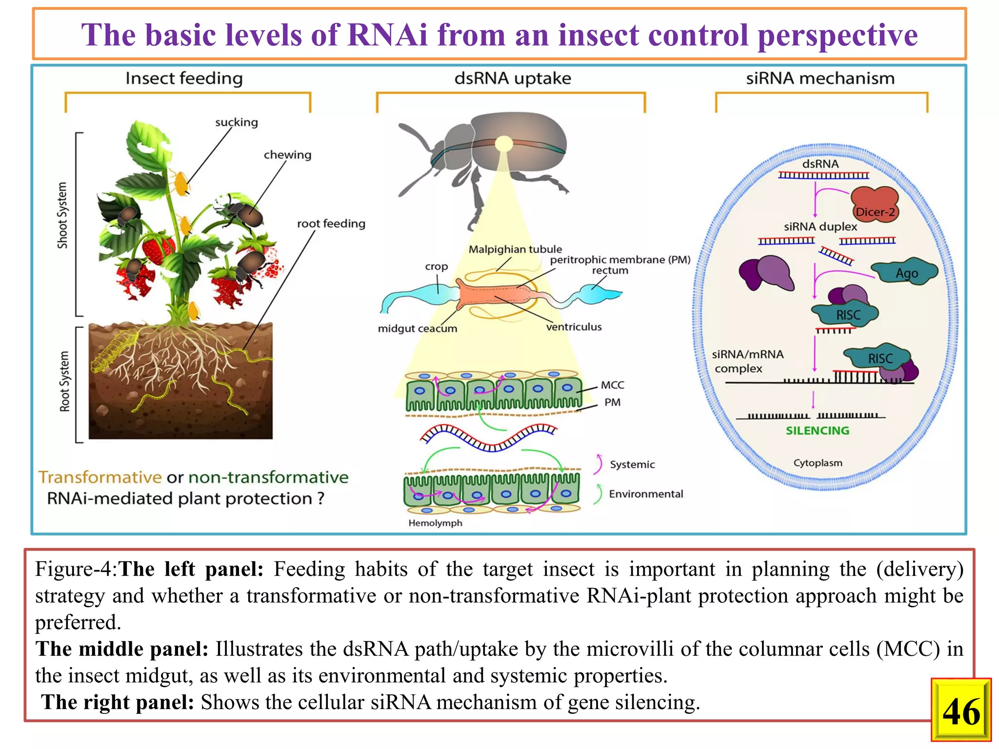 PRESENT STATUS AND ROLE OF BIOTECHNOLOGICAL APPROACHES IN INSECT PEST ...