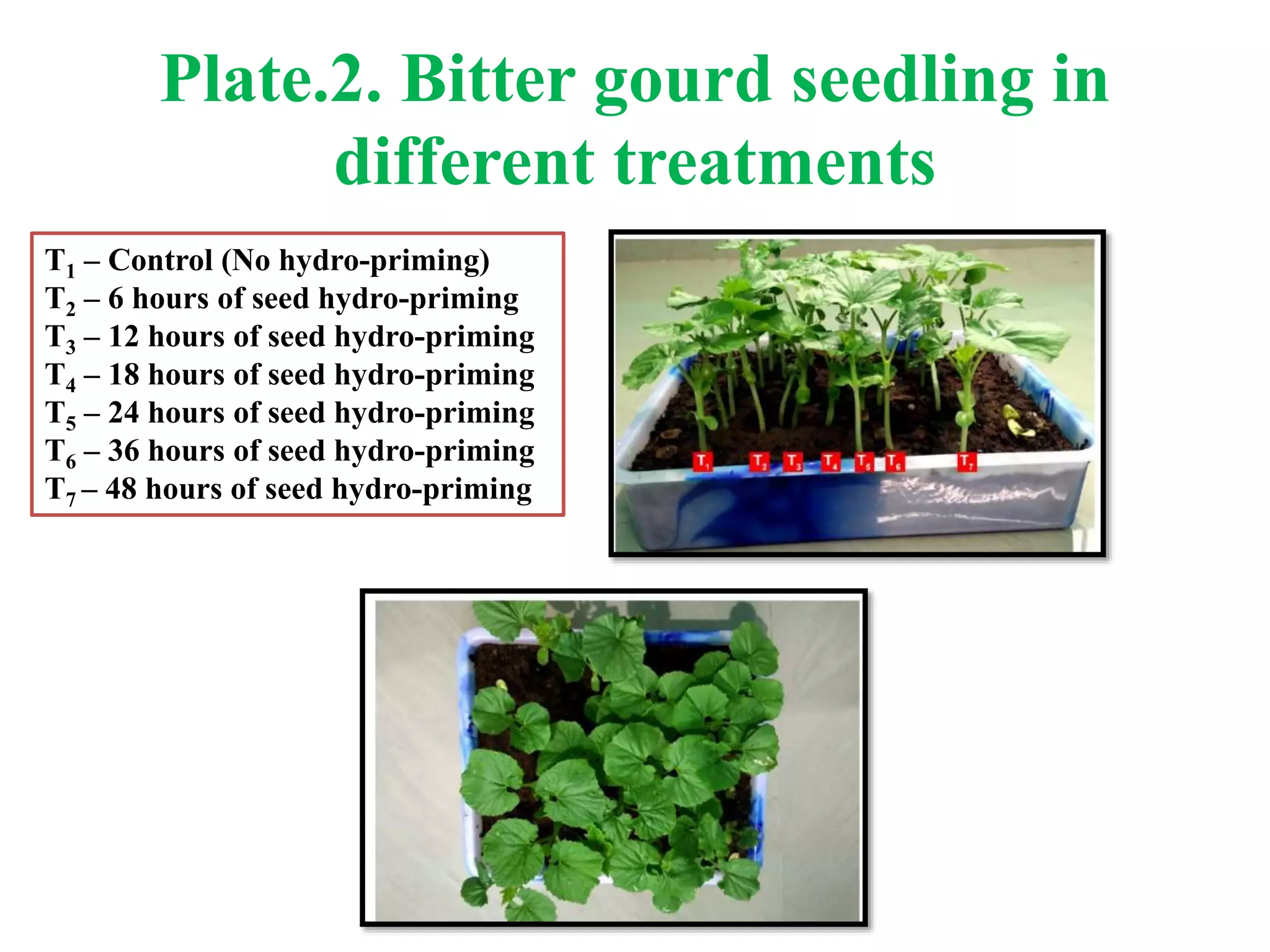 Ph.D Topical Research PPT.pptx