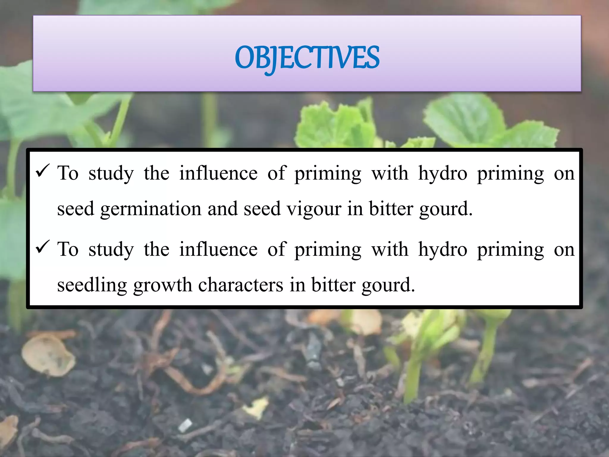 Ph.D Topical Research PPT.pptx