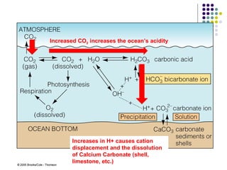 ph BUFFER SYSTEM POWEWRPOINT PRESENTATION .ppt