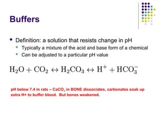ph BUFFER SYSTEM POWEWRPOINT PRESENTATION .ppt