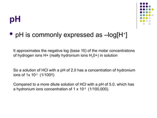 ph BUFFER SYSTEM POWEWRPOINT PRESENTATION .ppt
