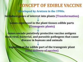 Ph02 edible vaccines | PPTX
