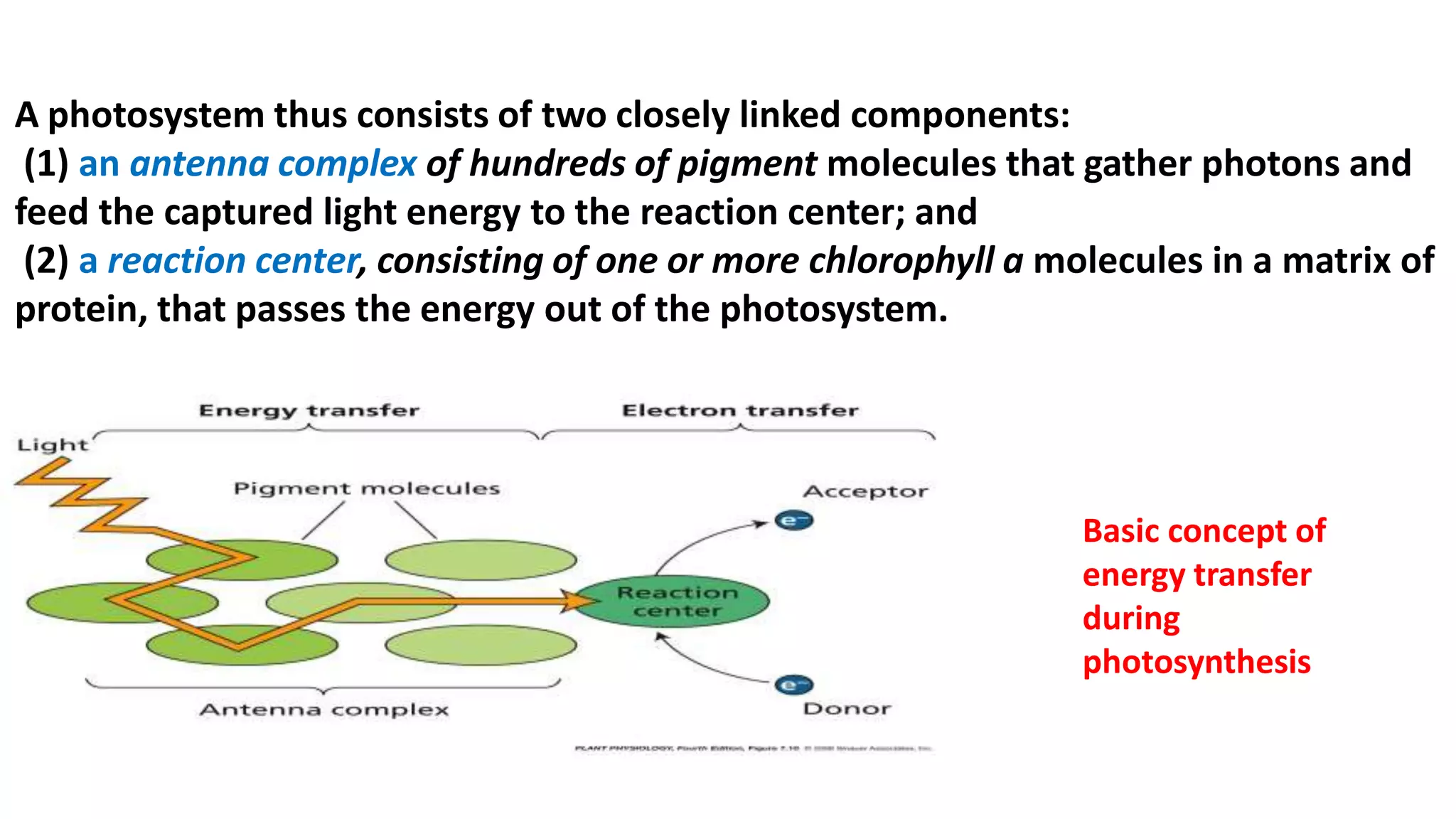Ph0tosystemPhotosystem: Reaction center surrounded by several light ...