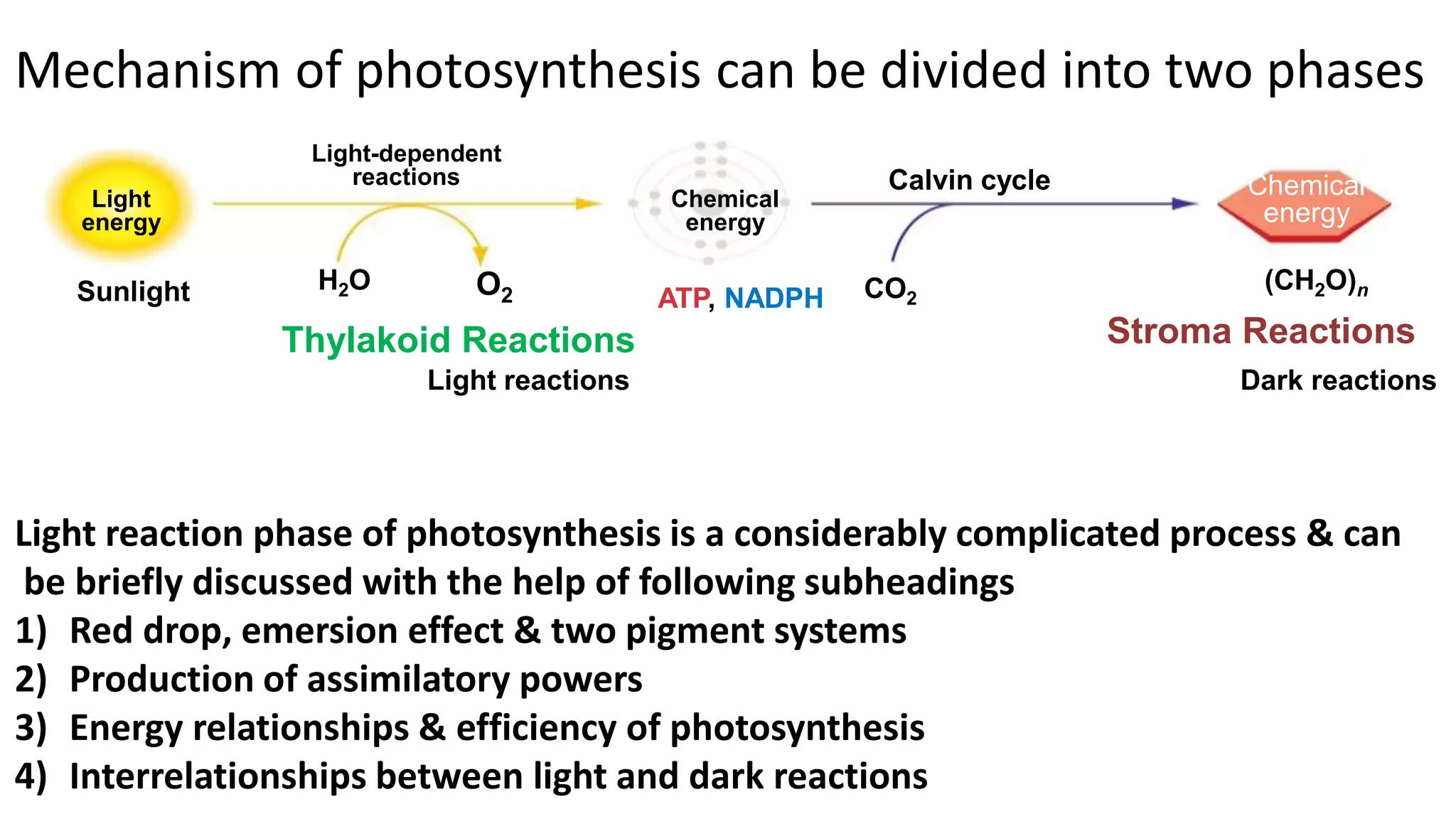 Ph0tosystemPhotosystem: Reaction center surrounded by several light ...