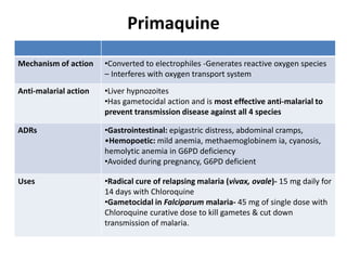 Primaquine Mechanism Of Action