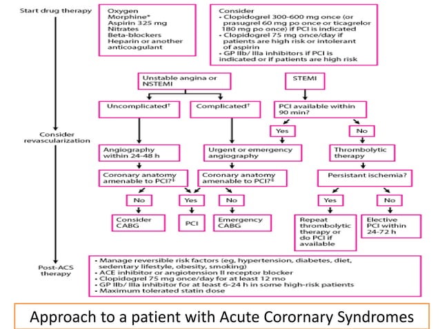 PH1.28 Describe the mechanisms of action, types, doses, side effects ...
