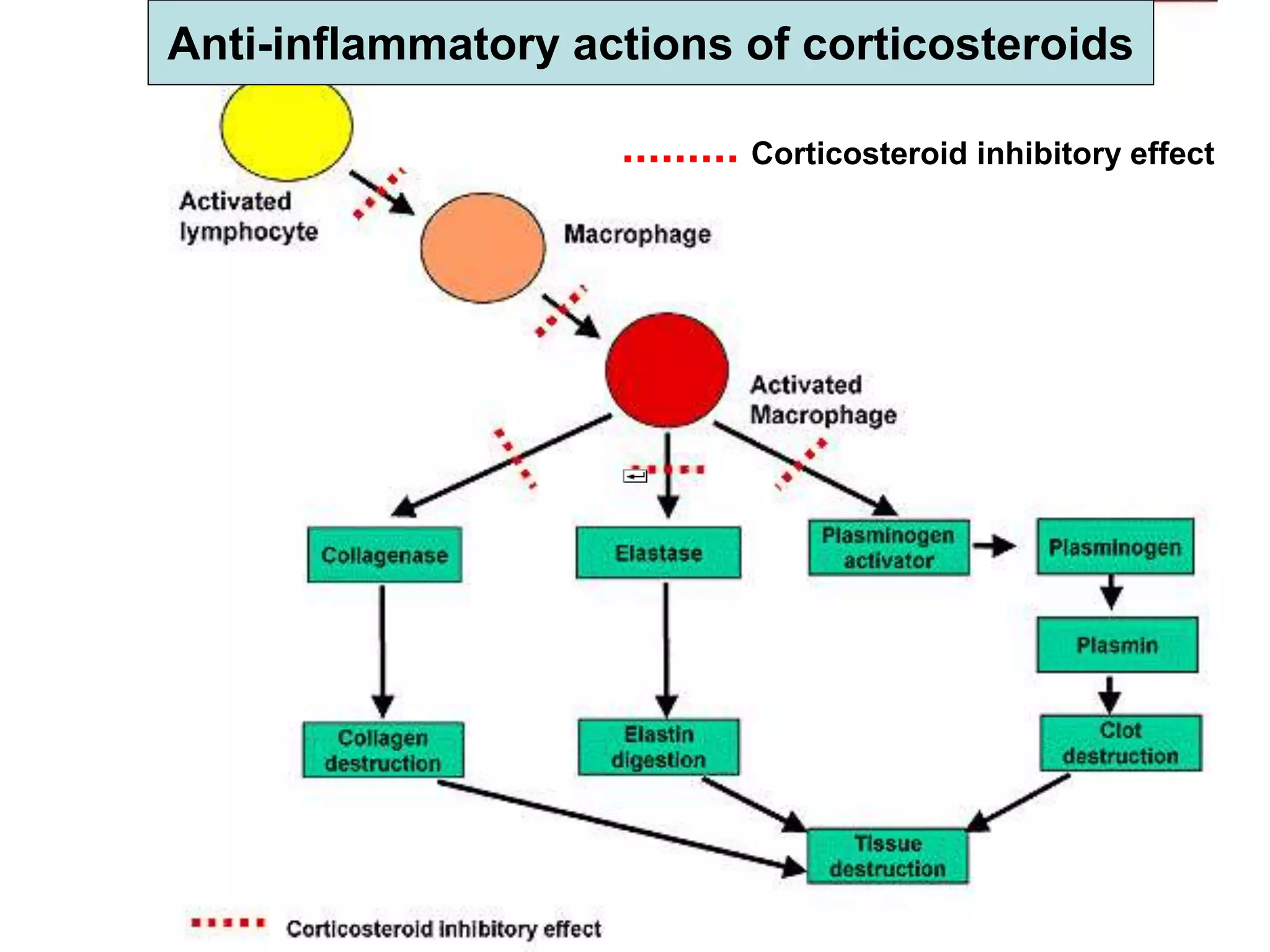 PH 1.38 Describe the mechanism of action, types, doses, side effects ...