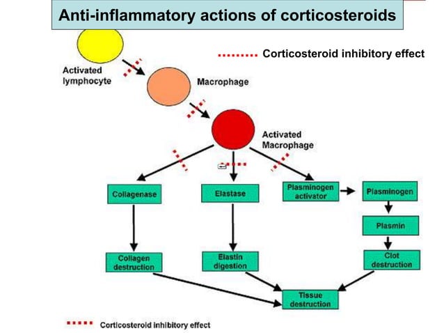PH 1.38 Describe the mechanism of action, types, doses, side effects ...