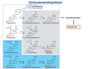 PH 1.38 Describe the mechanism of action, types, doses, side effects ...