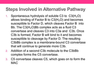 32 Proteins of the Complement System | PDF