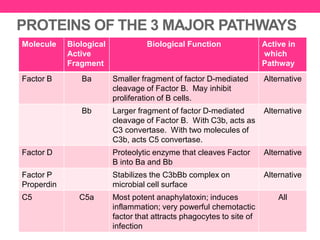32 Proteins of the Complement System | PPT