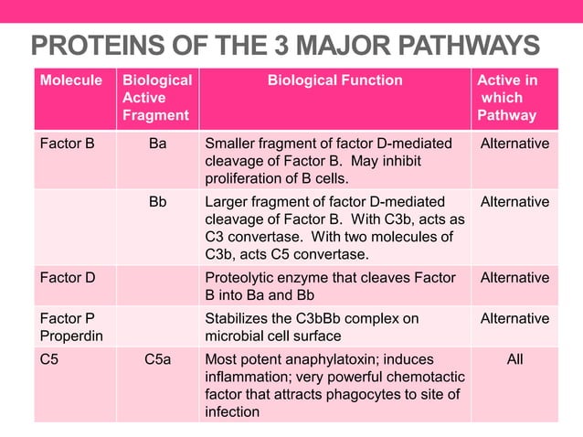 32 Proteins of the Complement System | PPT | Free Download
