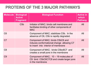 32 Proteins of the Complement System | PPT | Free Download