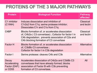 32 Proteins of the Complement System | PPT | Free Download