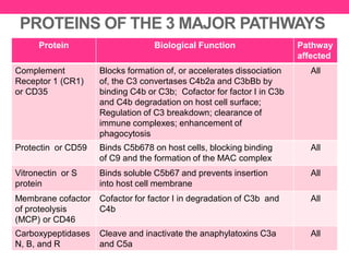32 Proteins of the Complement System | PPT