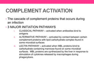 32 Proteins of the Complement System | PPT