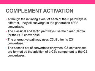 32 Proteins of the Complement System | PPT