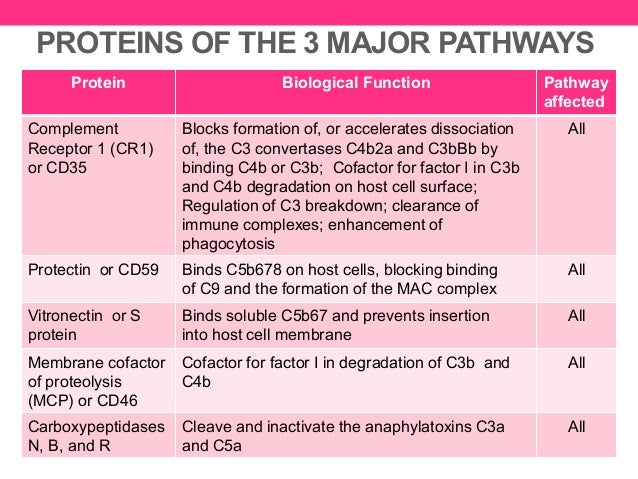 32 Proteins of the Complement System