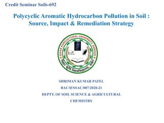 Polycylic aromatic hydrocarbon pollution in soil | PPT