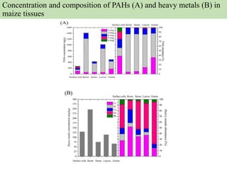 Polycylic aromatic hydrocarbon pollution in soil | PPT