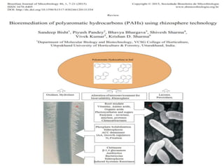 Polycylic aromatic hydrocarbon pollution in soil | PPT