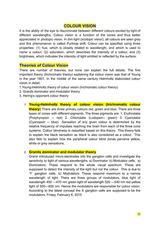 Special Senses: Eye | Physiology and Anatomy | Assignment | PDF | Eye ...