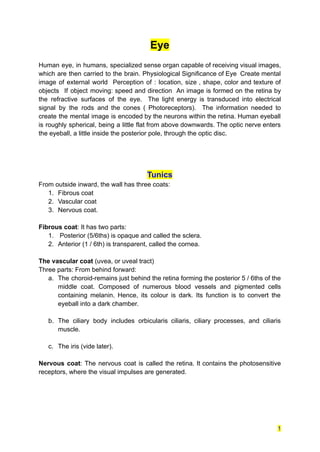 Special Senses: Eye | Physiology and Anatomy | Assignment | PDF | Eye ...